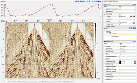 Seismic Data View