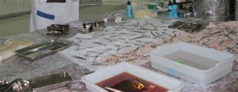 Thumbs Pro Circumcisedperfection Cutcocklover Preparation In Morocco For A Mass Circumcision