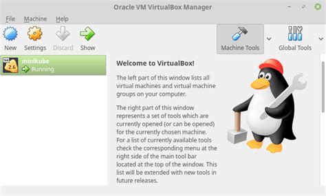 Kubernetes Virtualbox Running Inside Linux Mint Issue With Minikube