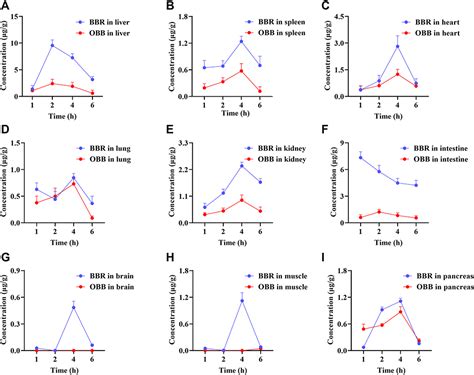 Antiinflammatory Activation Of Phellodendri Chinensis Cortex Dddt