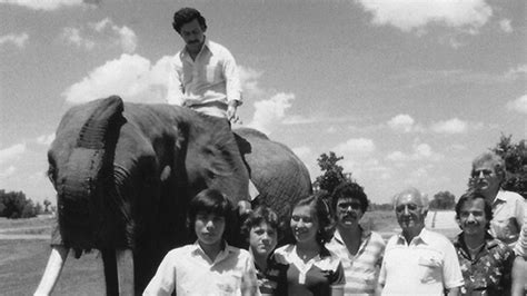 “mi Arca De Noé” La Increíble Historia Del Zoo De Pablo Escobar Y Cómo