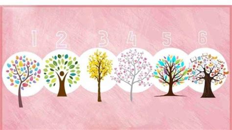 Tes Kepribadian Gambar Pohon Yang Dipilih Akan Menunjukan Jiwa Pasangan Anda Tribunpekanbaru Com