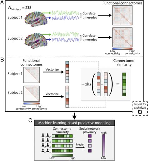 Similarity In Functional Brain Connectivity At Rest Predicts Interpersonal Closeness In The