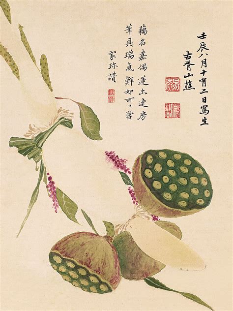 项圣谟花卉图素材 花卉工笔画下载 C 加加色