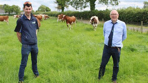 Sexed Semen Is Key To Breeding Programme On Limerick Dairy Farm