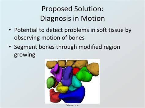Ppt Segmentation Using Skeletally Coupled Deformable Models Powerpoint Presentation Id2845338