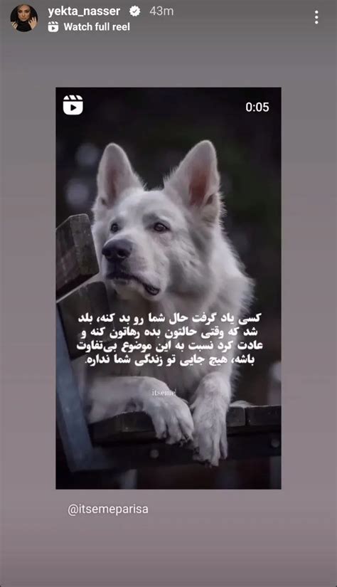 جواب کوبنده منوچهر هادی به یکتا ناصر؛ آقای کارگردان، از خجالت همسر