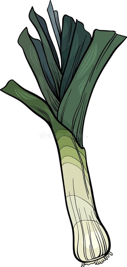 Leek Vegetable Cartoon Stock Illustration Illustration Of Character