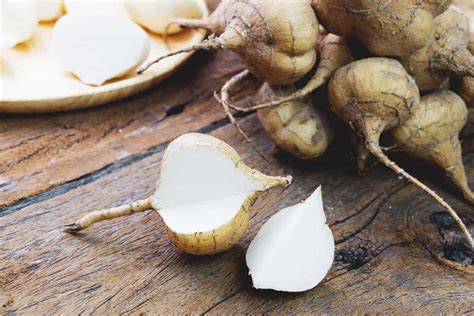 Growing Ginger The Complete Guide To Plant Grow And Harvest Ginger