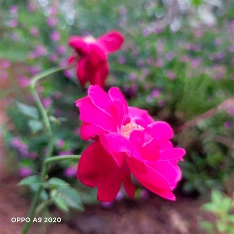 Hrl Broken💔🍁 Youtube