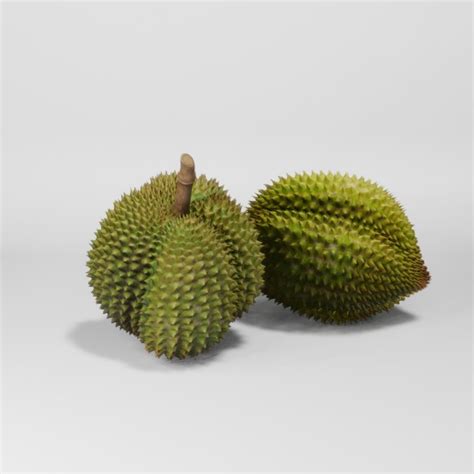 Durian Fruit 3d Model By Cptoey 3docean