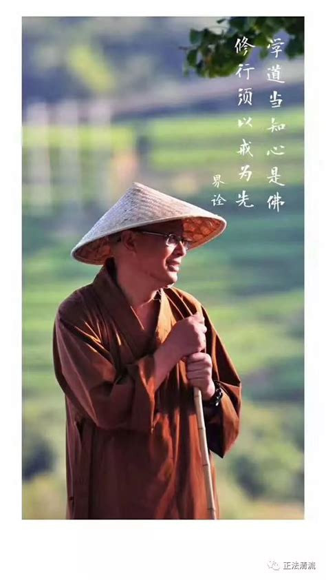 界诠法师有人以为学佛只要好生的念佛就是了嘛何必学习佛法道理呢其实不然 新禅风