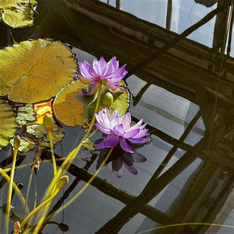 阿信哥听着星期五晚上在星期六的凌晨1点结束了星期五的工作🥹