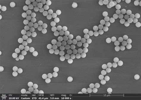 Carboxyl Based Magnetic Beads Trunnano