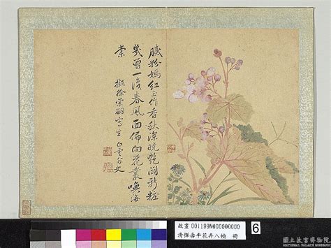 清恽寿平花卉八帧 拟徐崇嗣写生恽寿平书法字帖字帖网