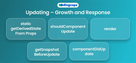 React Lifecycle Methods Explained A Beginners Guide 2024 Codingcops