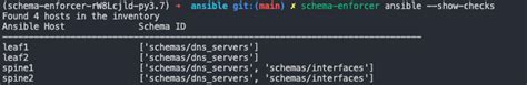 introducing schema enforcer network to code
