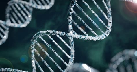 Research Identifies New Target That May Prevent Blood Cancer