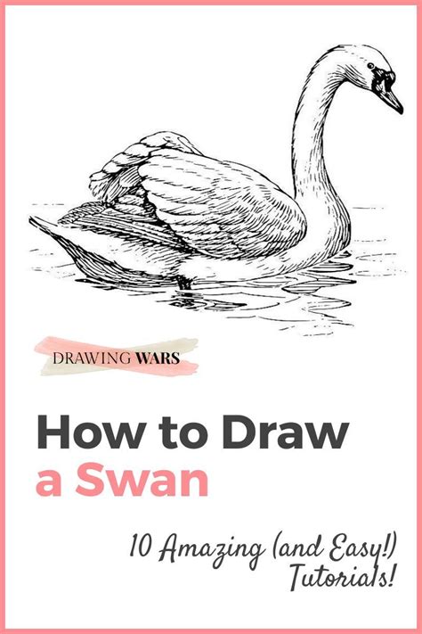 How To Draw A Swan 10 Step By Step Tutorials