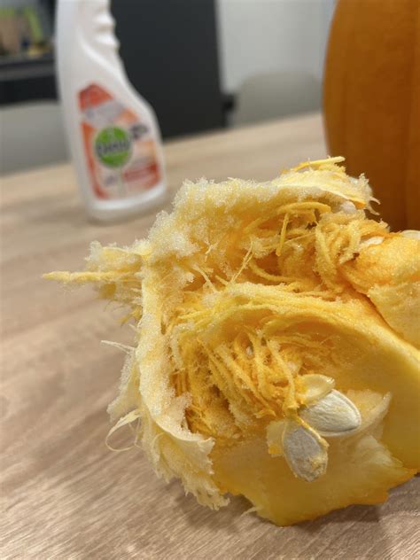 Is This Normal White Fluffy Stuff On Inside Of Pumpkin Rpumpkins