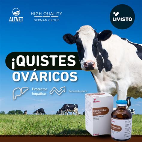 Altvet S A Solución Inyectable Vacas Prevención Y