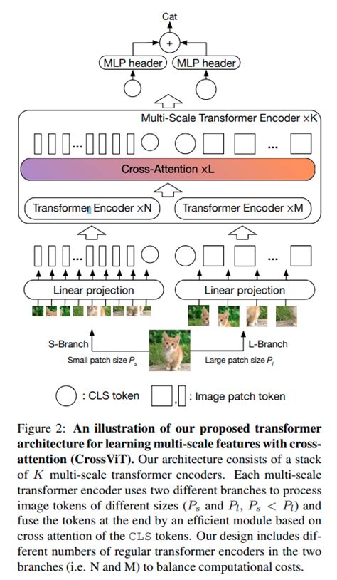 [2022 Arxiv] Mobilevitv3 Mobile Friendly Vision Transformer With Simple And Effective Fusion Of