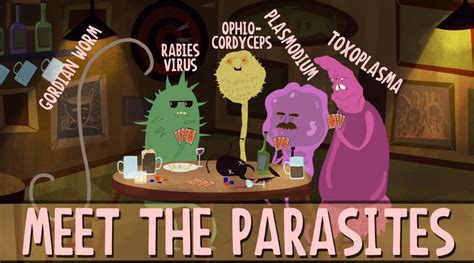 What Does The Moon Mood Sleep And Parasites All Have In Common