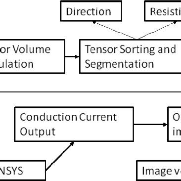 Flow Chart Summary Of Complete Workflow Download Scientific Diagram