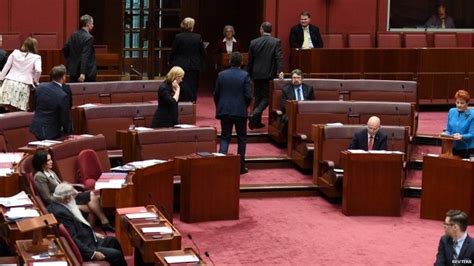 Pauline Hanson Wears Burka In Australian Senate Bbc News