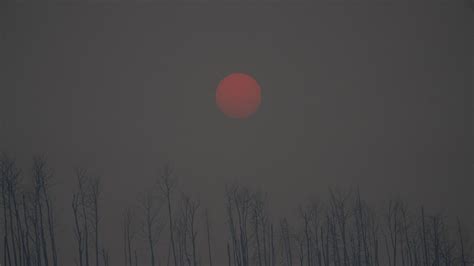Incêndios No Canadá Emitiram 23 De Todas As Emissões De Carbono No