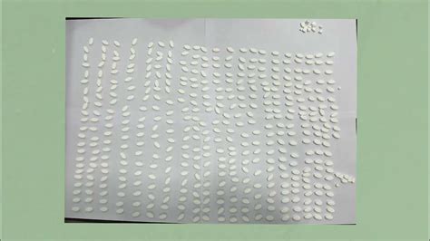 პოლიციამ განსაკუთრებით დიდი ოდენობით ნარკოტიკი ამოიღო Youtube