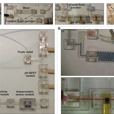 Assembly Of The Microfluidic Modules Steps I Arrangement Of The