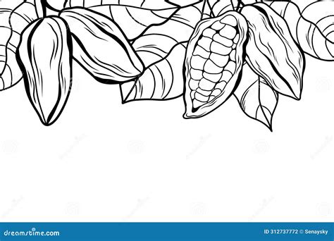 Decorative Frame Made Of Leaves And Fruits Of Cocoa Tree Isolated Linear Border For Design