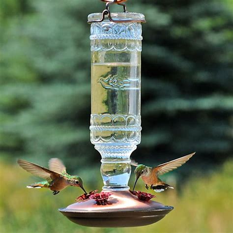 Antique Clear Glass Hummingbird Feeder Mommas Home Store