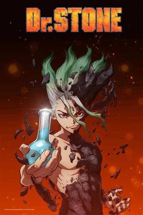Un Reportage Making Of Pour Lanime Drstone Gaak