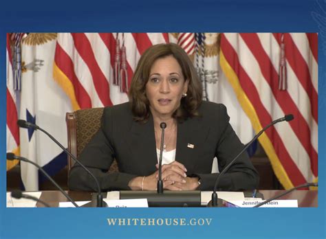 Civil And Reproductive Rights Leaders Meet With Kamala Harris Queer Forty