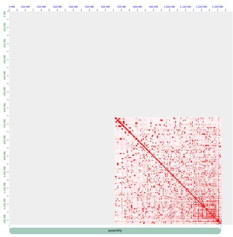 X Genome Length In Hic File With Most Blank Issue Aidenlab D Dna Github