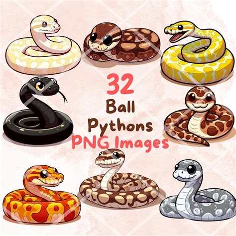 Kawaii Cute Ball Python Snakes Clipart Bundle 32 Png Clipart
