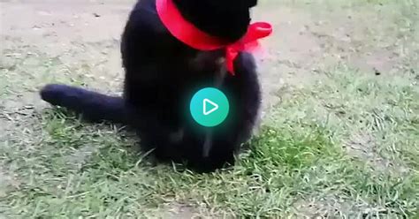 Yawn Album On Imgur