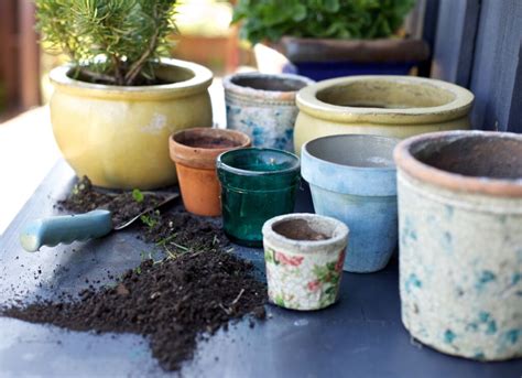 Types Of Plant Pots HouseplantJoy Com