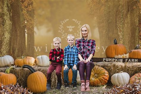 Pumpkin Patch Digital Backdrop Masterbundles