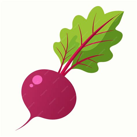 Beetroot Clipart Cartoon Style Vector Illustration Premium Ai