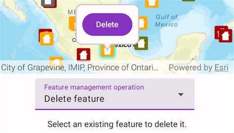 Manage Features Arcgis Maps Sdk For Kotlin Esri Developer