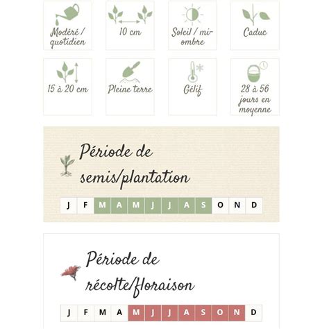 Potagers Ferme De Sainte Marthe Radis Chandelle De Glace Environ 150