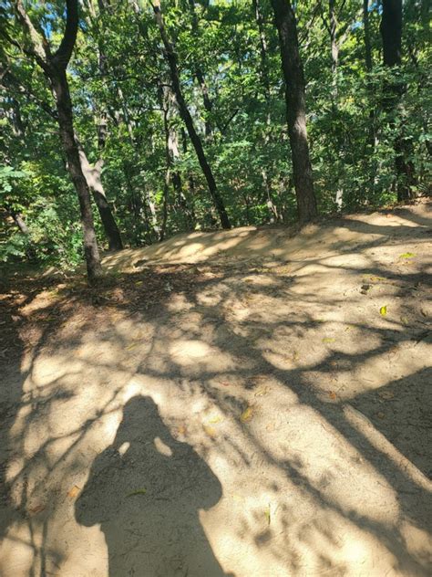안동체육산업 안동체육사 태화봉 등산로 야자매트 설치공사 네이버 블로그