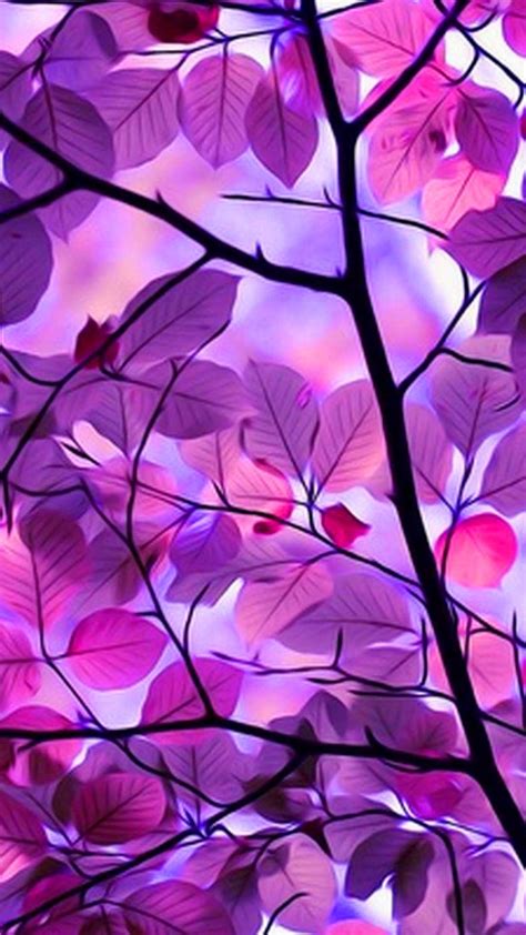 Lilac Wallpaper Ixpap