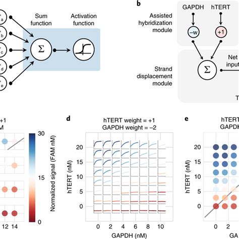 A Molecular Multi Gene Classifier For Disease Diagnostics Request PDF