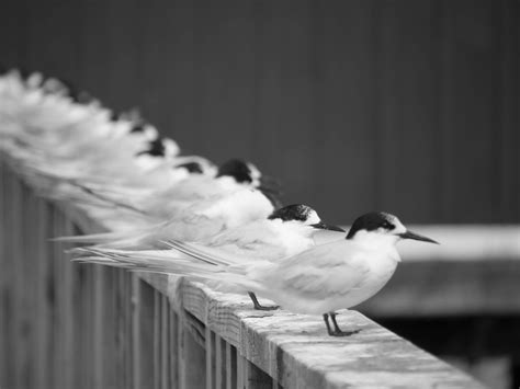 Statistics And Machine Learning For Engineering Applications Statistical Solutions By Creascience