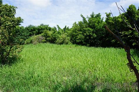 神岡紅土網球場易地興建 民代爭取800萬元經費