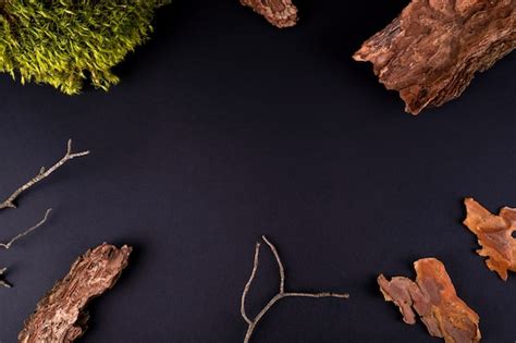 Premium Photo Abstract Composition With Bark Tree And Moss Podiums For Products Presentation